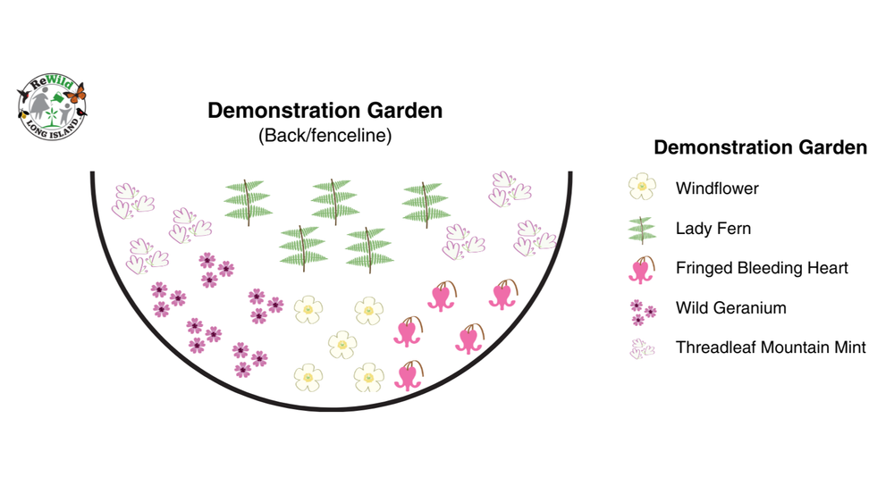 Matthew Lester Memorial Garden '25 — ReWild Long Island