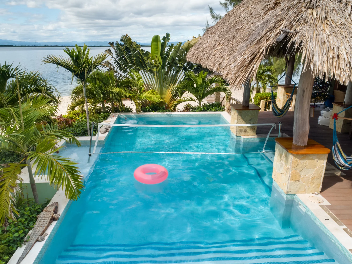 The Gecko Photo & Video Gallery — Placencia Belize Beachfront Vacation ...