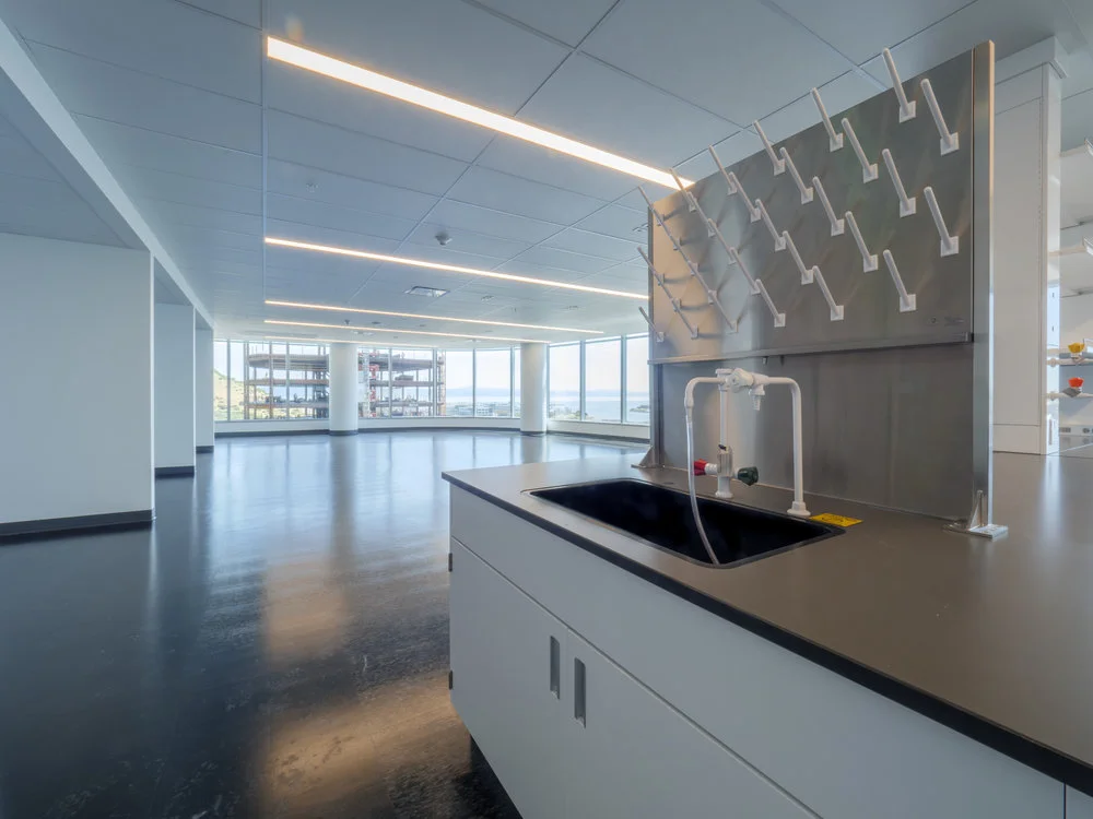 Genesis Marina - GENESIS Marina