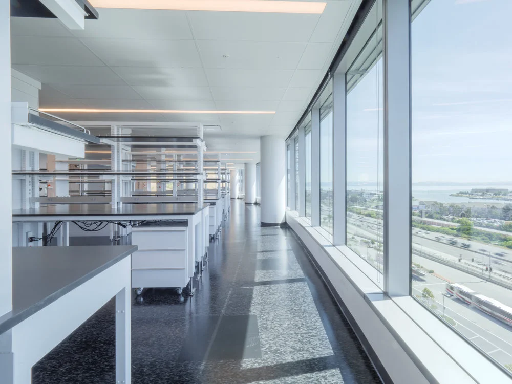 Genesis Marina - GENESIS Marina