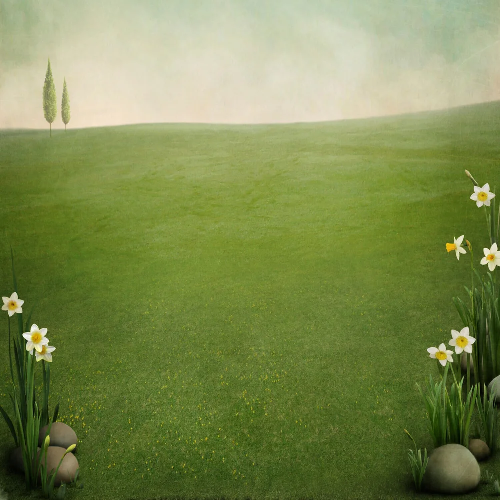 THE SCORING GUIDES — The Culham Writing Co.