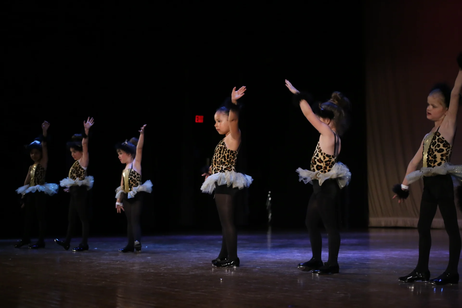 Mini Dance Bugs — Plaza Academy