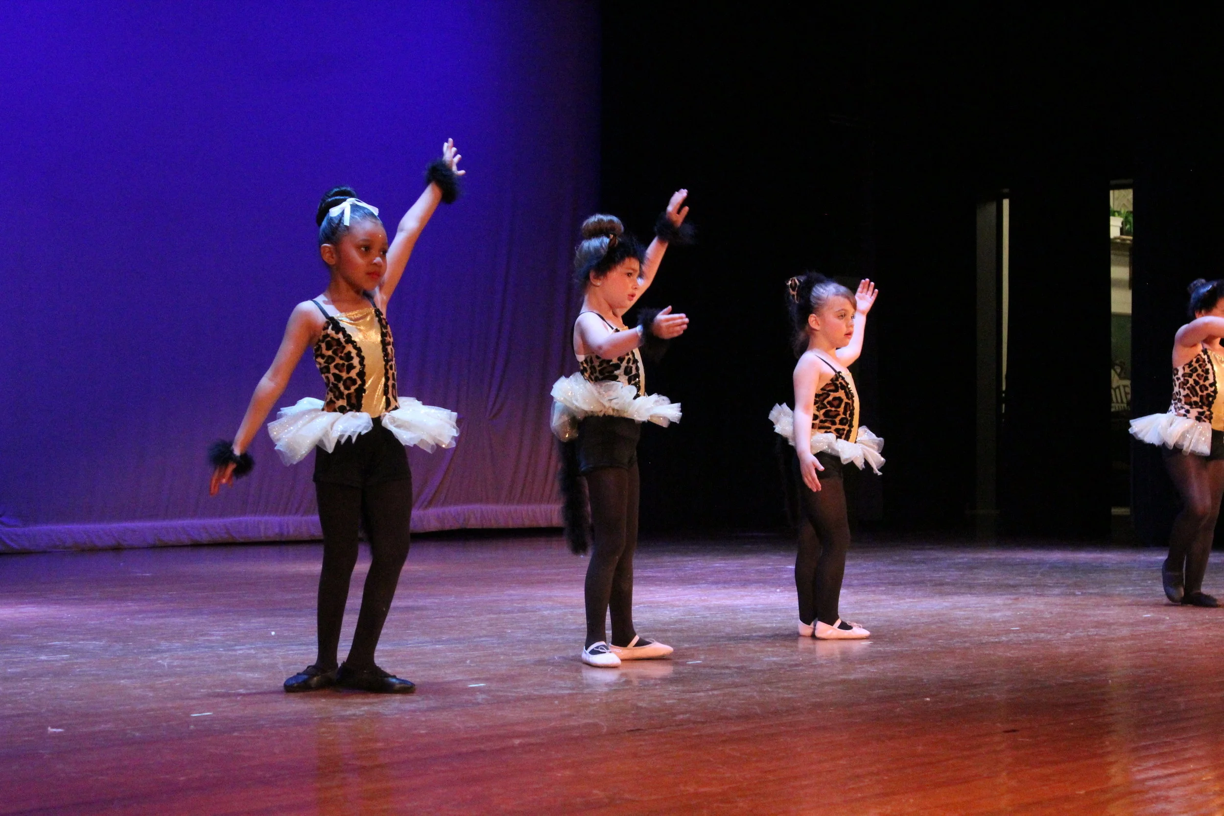 Mini Dance Bugs — Plaza Academy