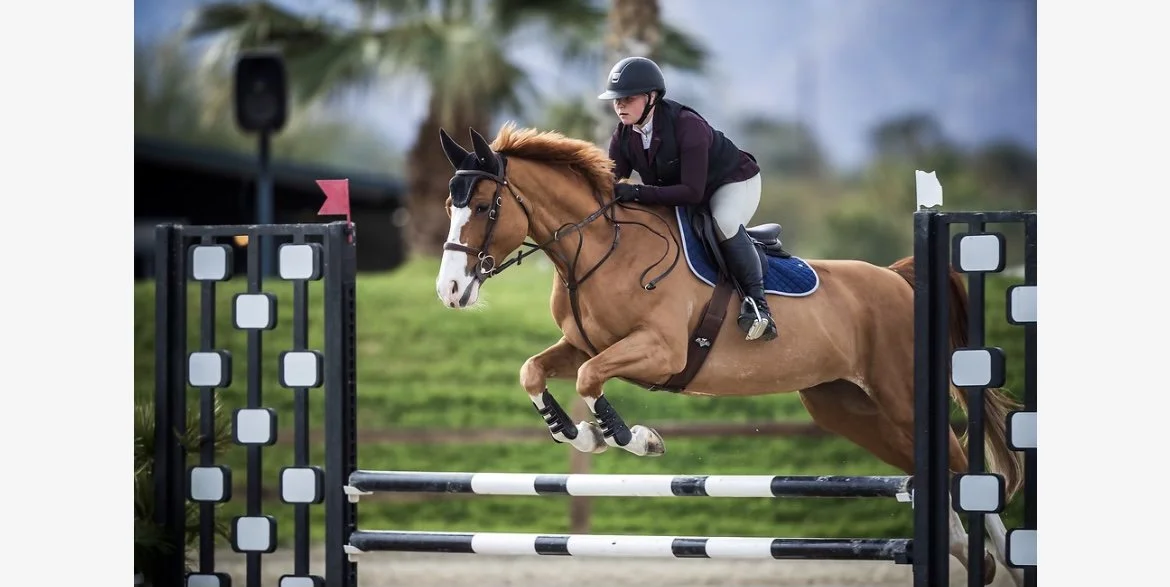 Sales — Keepsake Farms