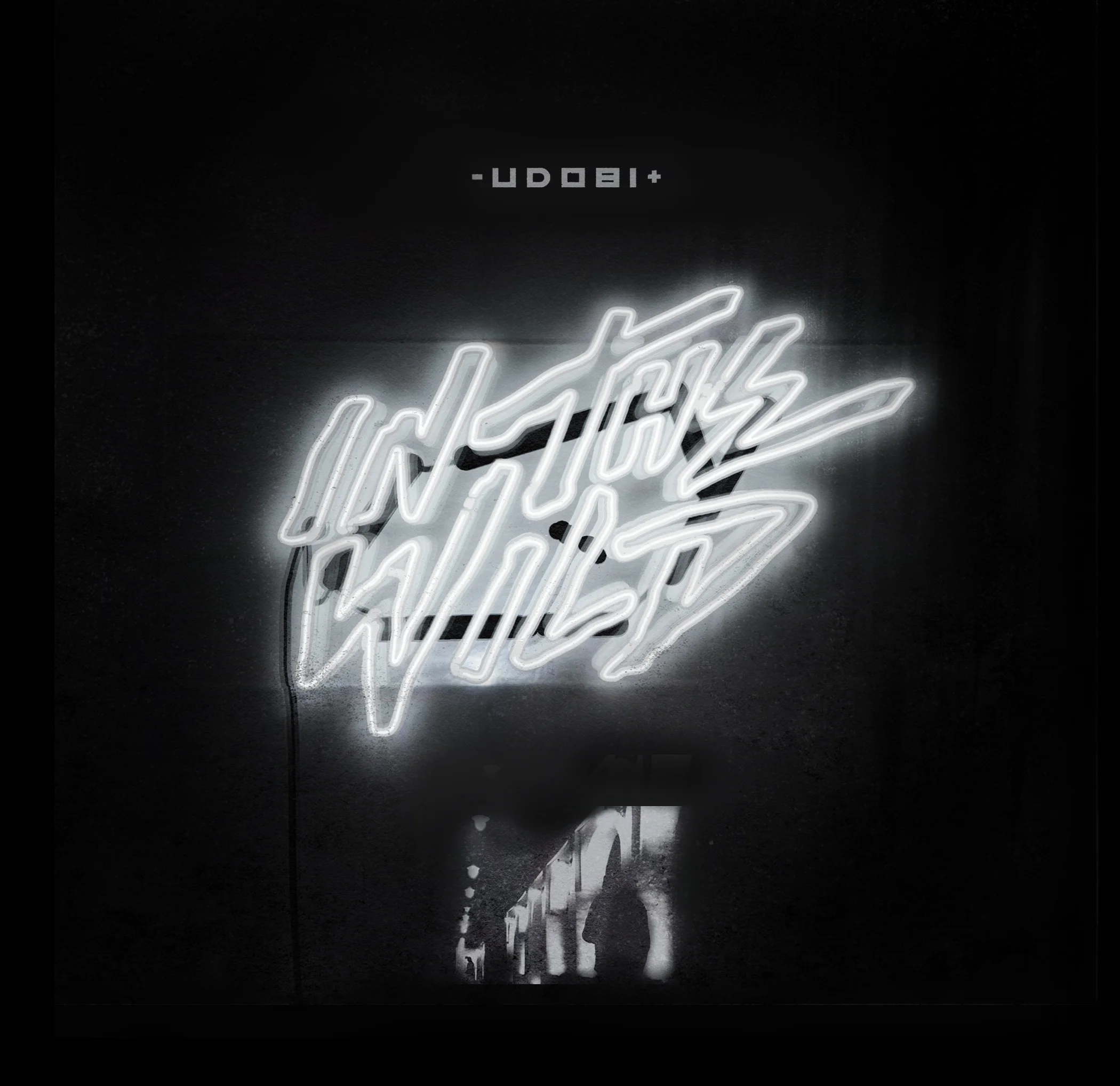 www.udobi.com