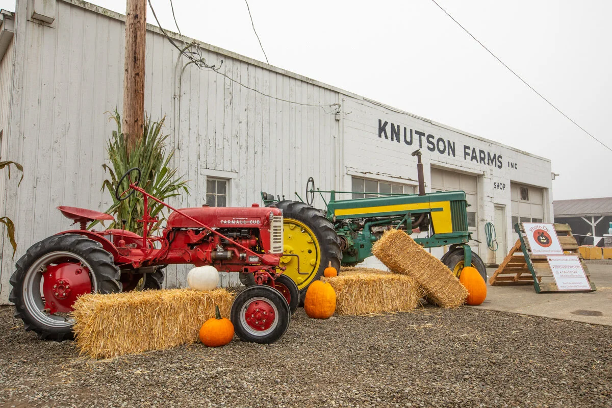 THE PATCH — Knutson Farms Inc.