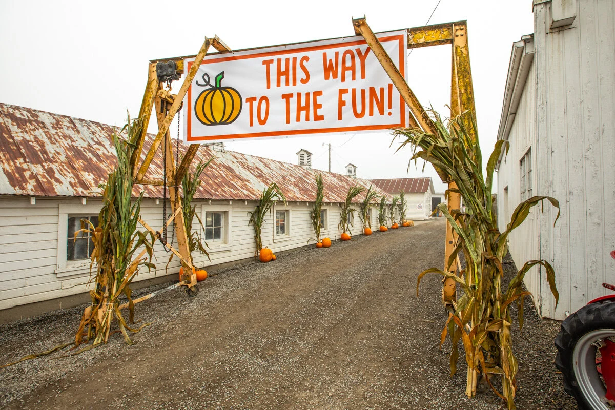 THE PATCH — Knutson Farms Inc.