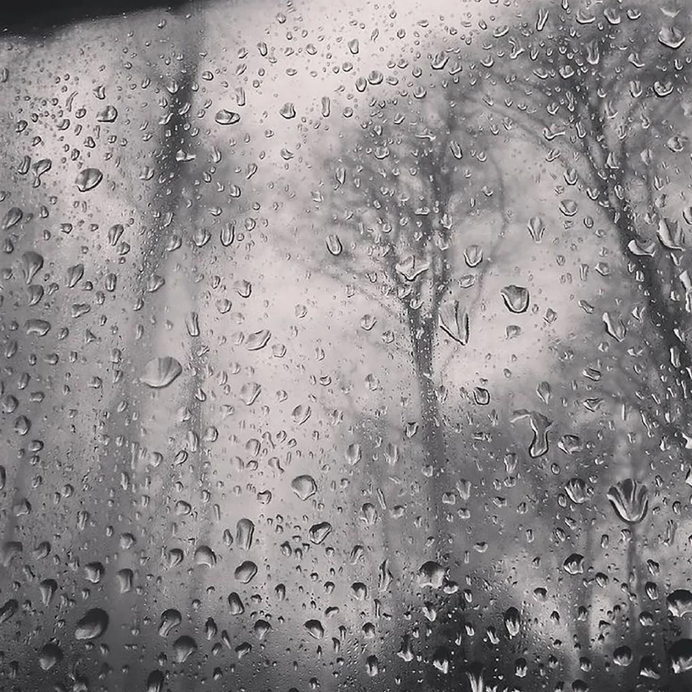 Discography — METZ