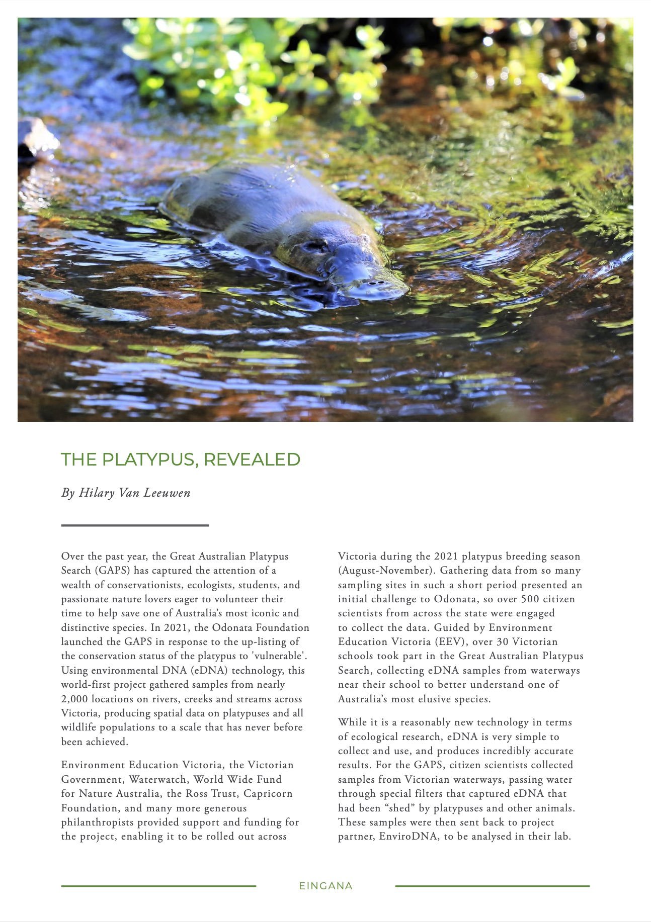 Eingana sample article - Great Australian Platypus Search — Environment ...
