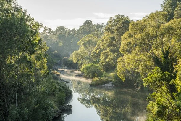Regional Data | Explore Regional Insights — RDA Southern NSW and ACT
