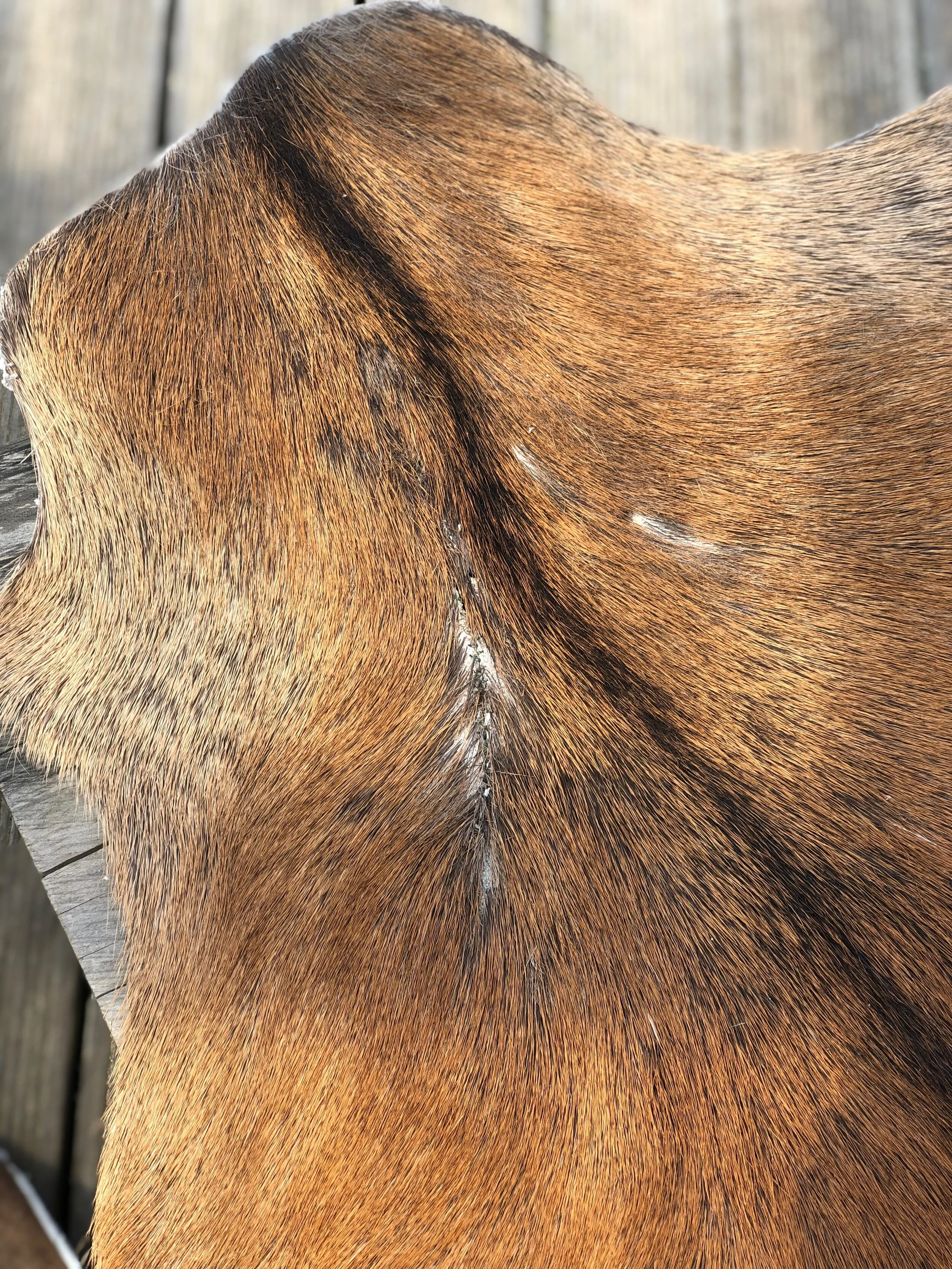 Hides — Kereru Farm Weber