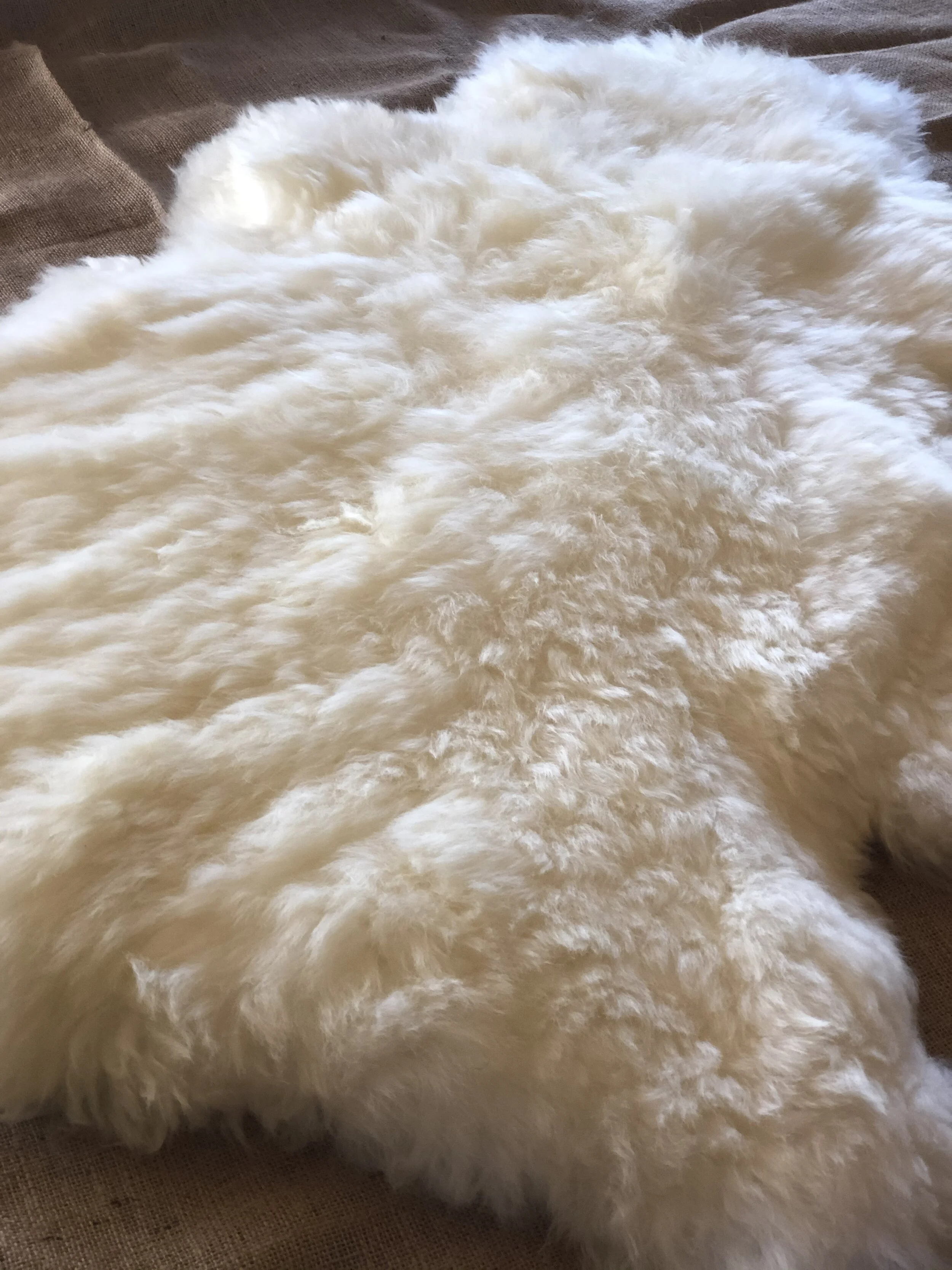 Hides & Sheepskins — Kereru Farm Weber