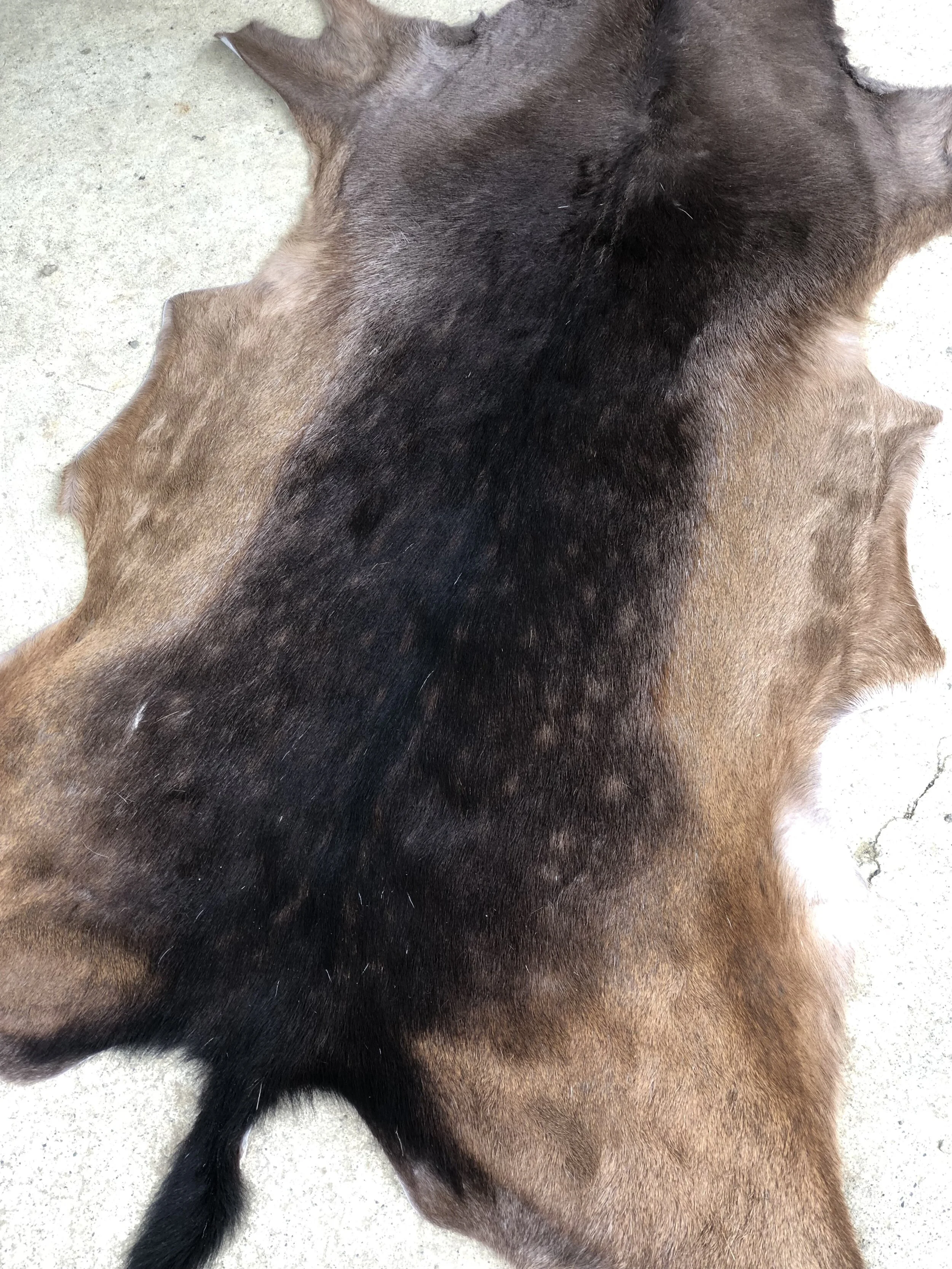 Animal Hides & Sheepskins — Kereru Farm Weber
