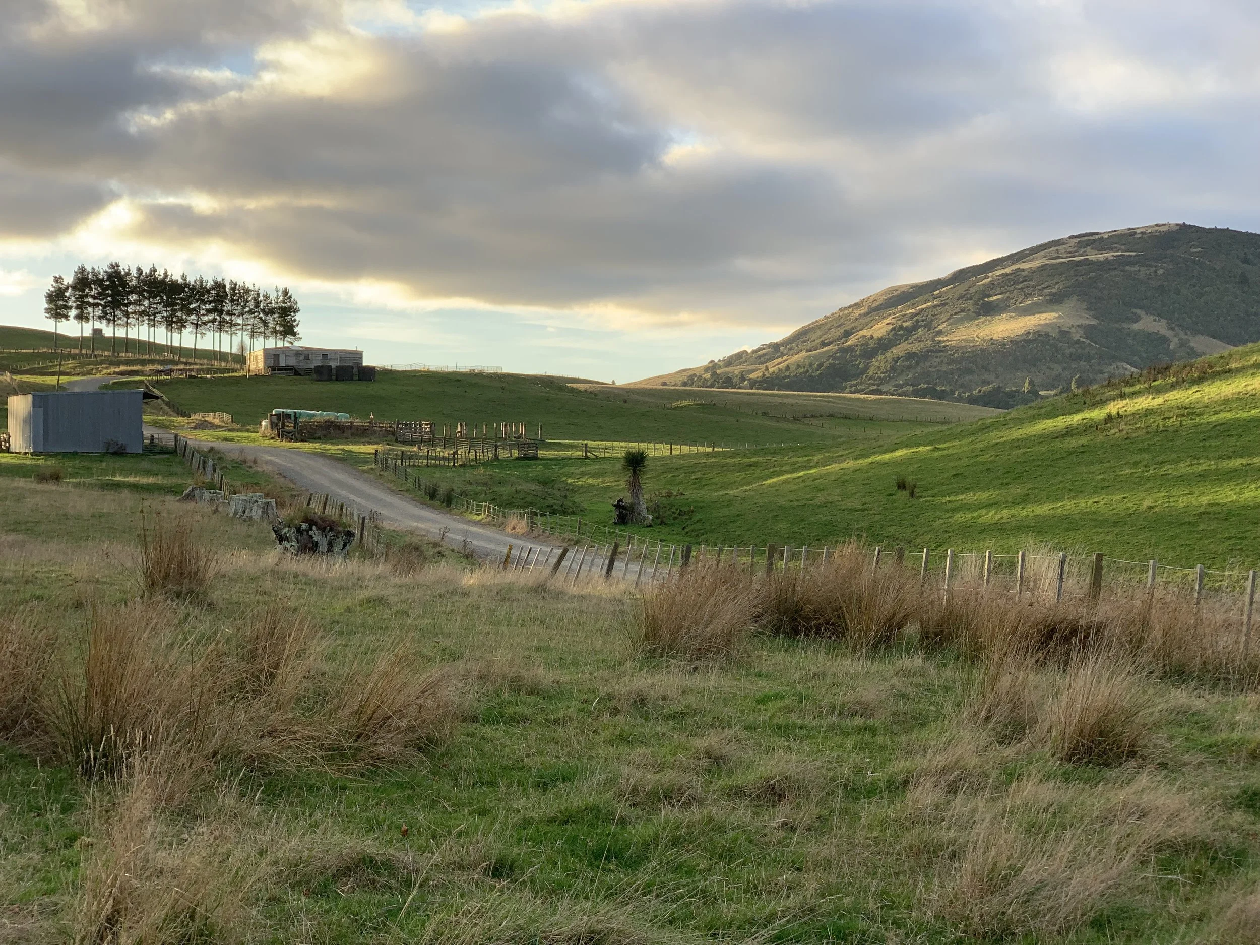 Benbecula Cottage at Kereru — Kereru Farm Weber