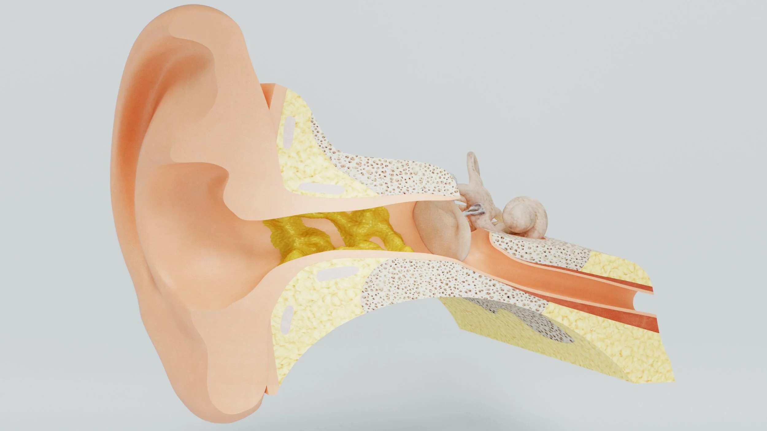 Cerumen (Earwax) Problems - DoctorLansford.com
