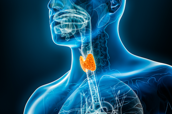 Euthyroidism | doctorlansford.com