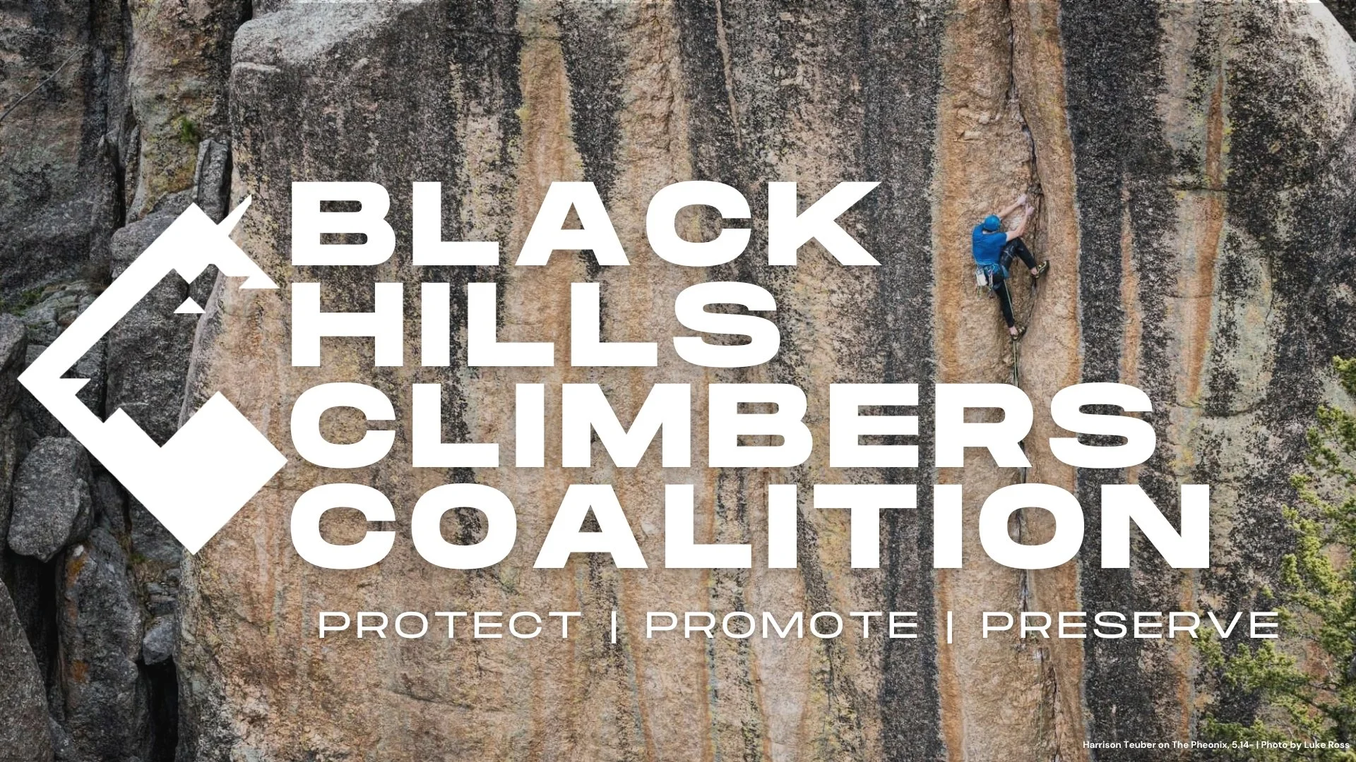 BHCC 2024 Year-in-Review: Celebrating Progress and Community — Black ...