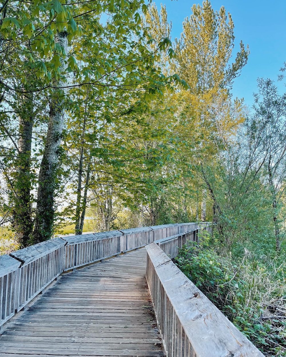 7 Fun Pacific Northwest Walks Near or In Olympia, Washington — Kathryn ...