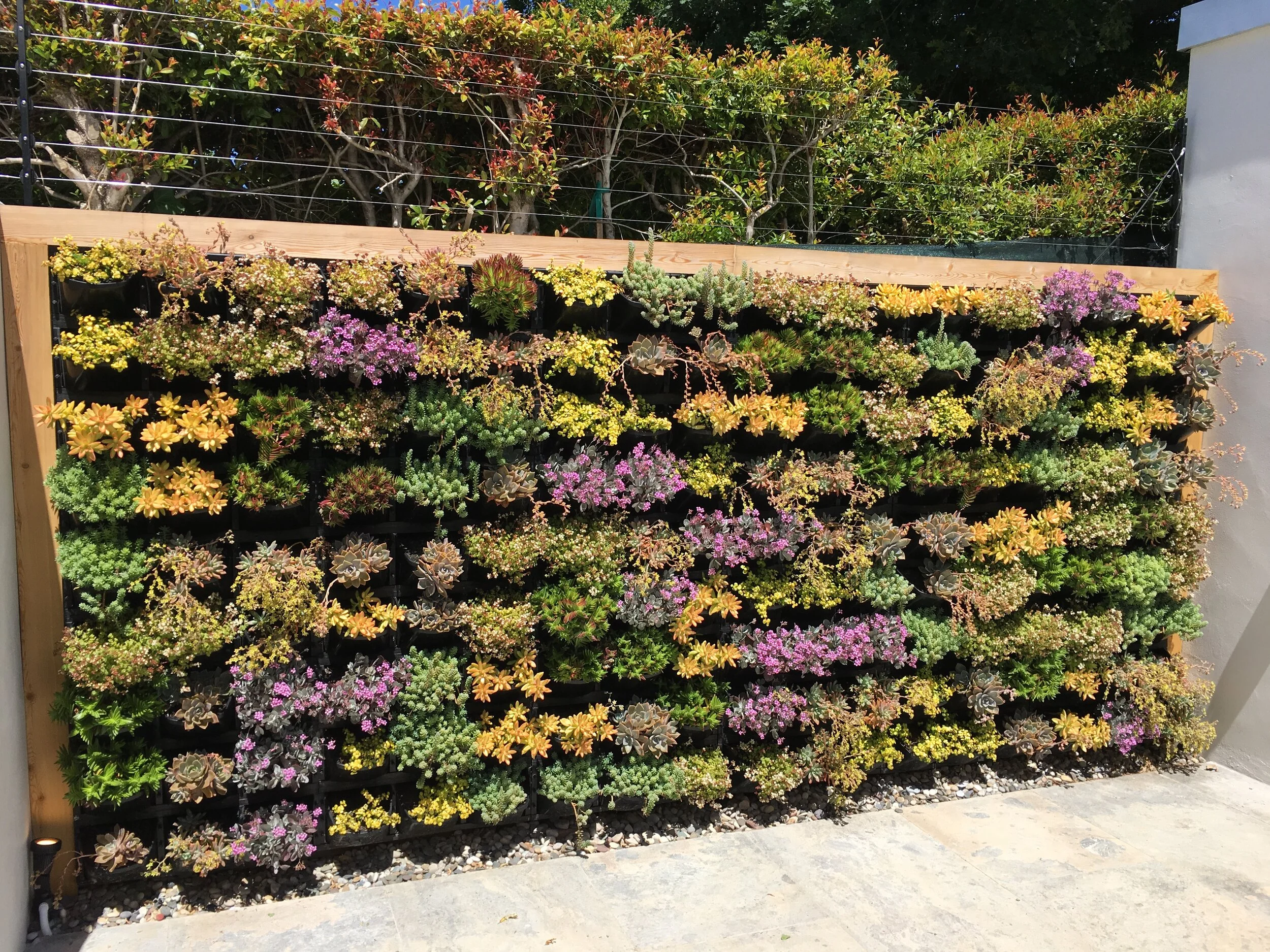 OUR WORK — oasis design