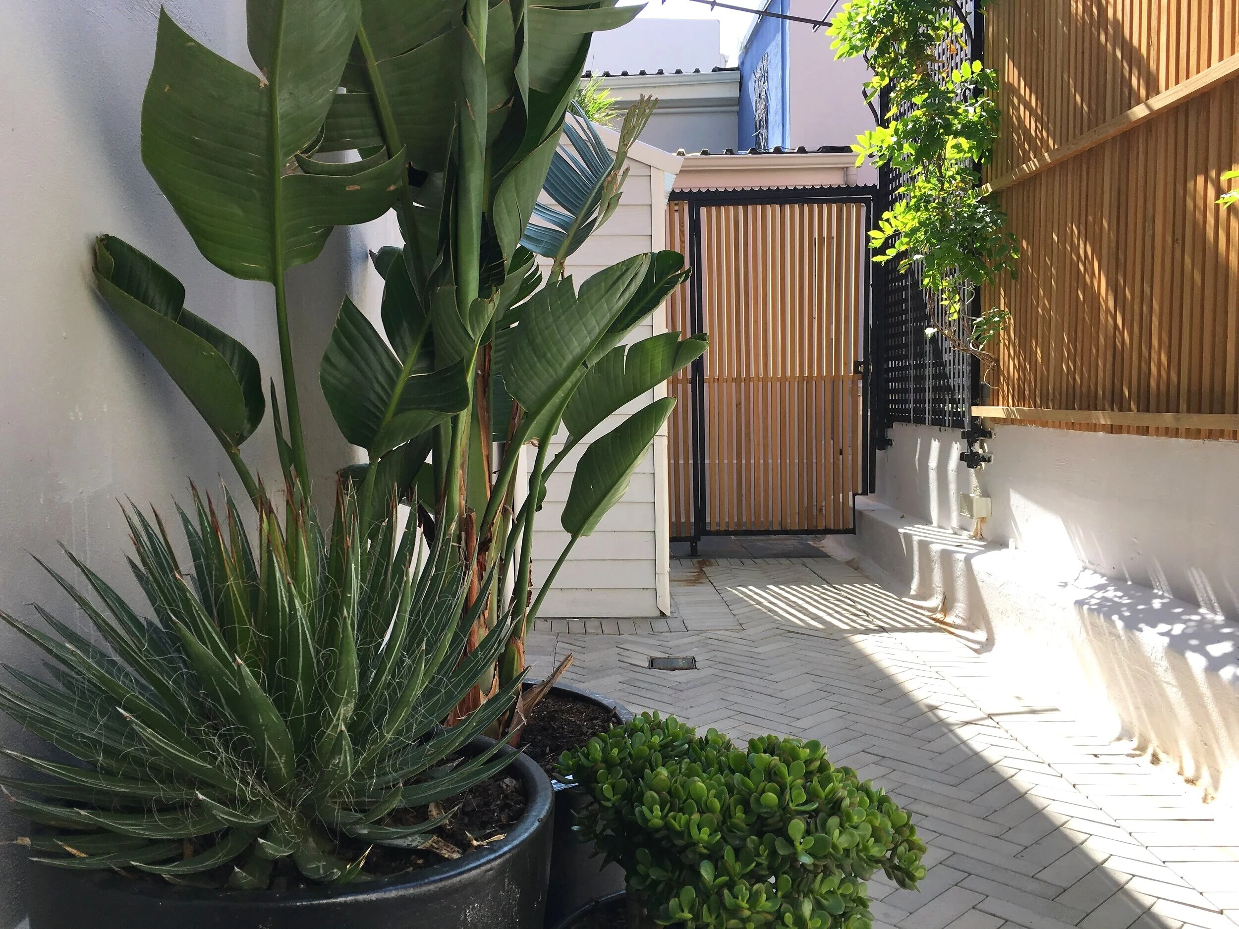 OUR WORK — oasis design