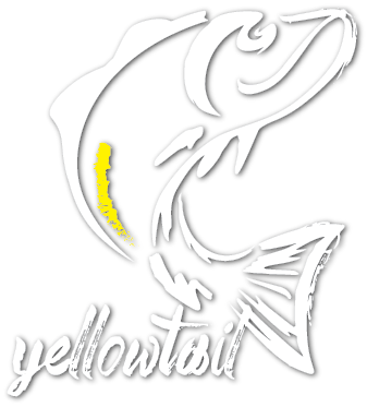 Yellowtail Sushi - Chicago