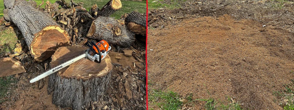BEFORE & AFTER — Larry's Lawn Mowing Service