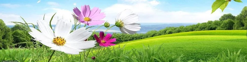 Green Church — Suncook UMC