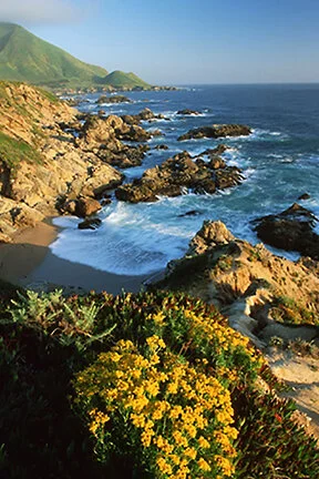 Photographer's Guide To Big Sur — David J. Gubernick - Rainbow Spirit ...