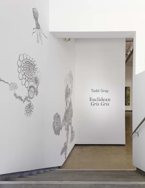 Work — TODD GRAY