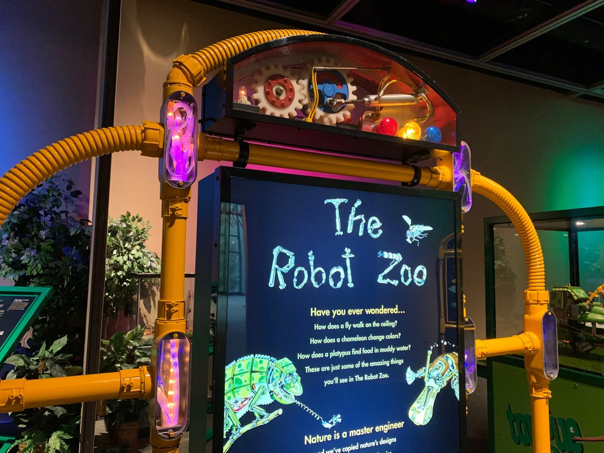 The Robot Zoo Exhibit - at The Mississippi Museum of Natural Science in ...