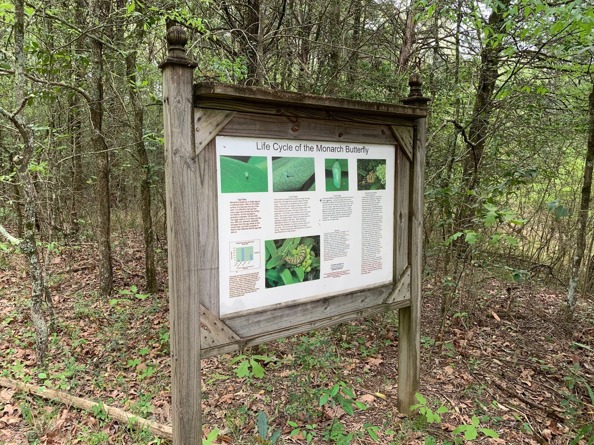 Clinton Community Nature Center — kidfriendlymississippi.com