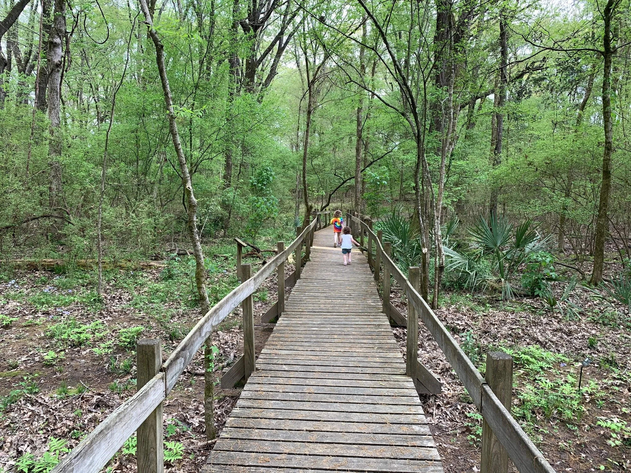 Clinton Community Nature Center — kidfriendlymississippi.com
