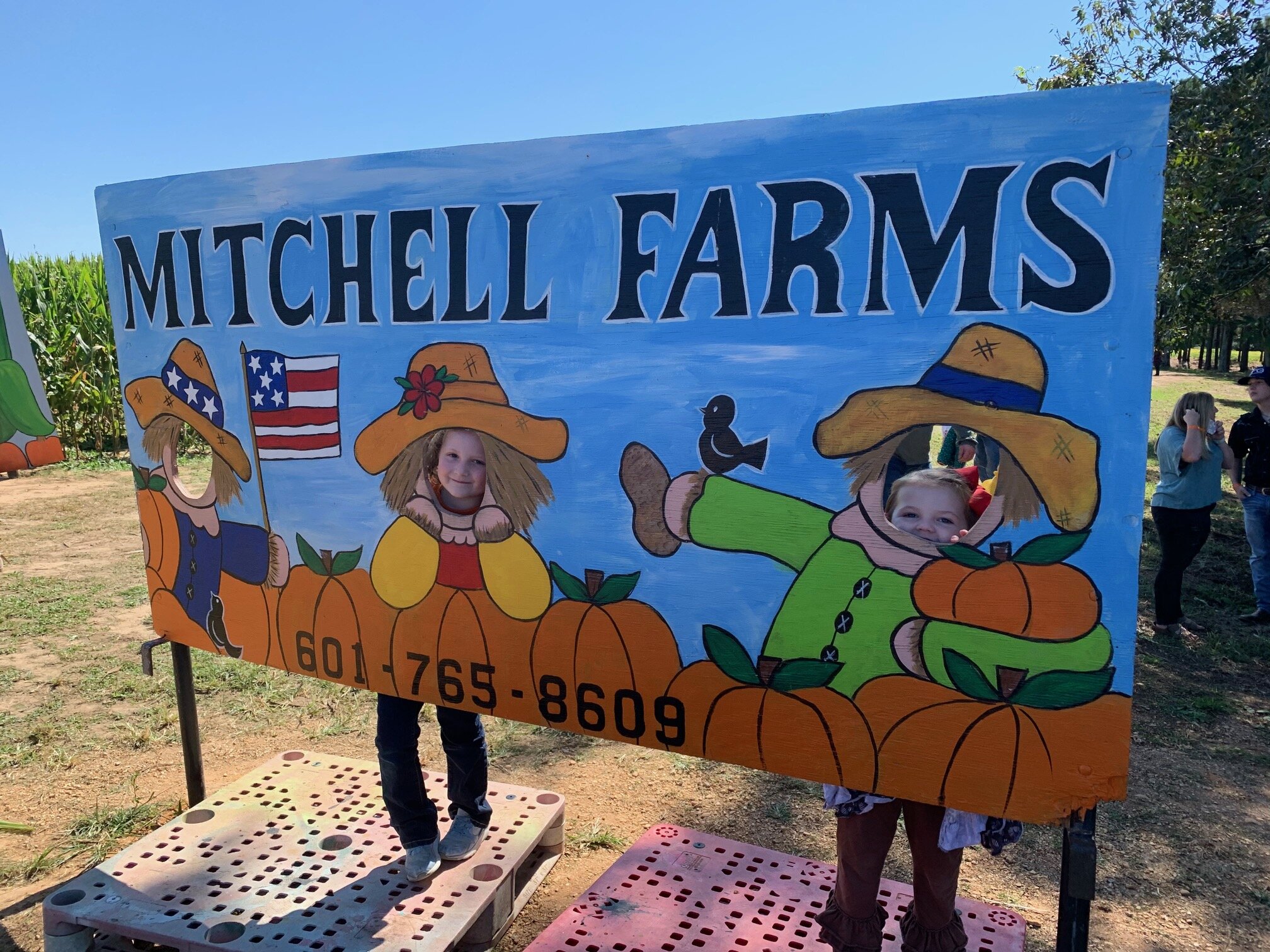 Pumpkin Patches in Mississippi ; Mitchell Farms, Bull Bottom Farms , Back 40 , Lazy Acres ...
