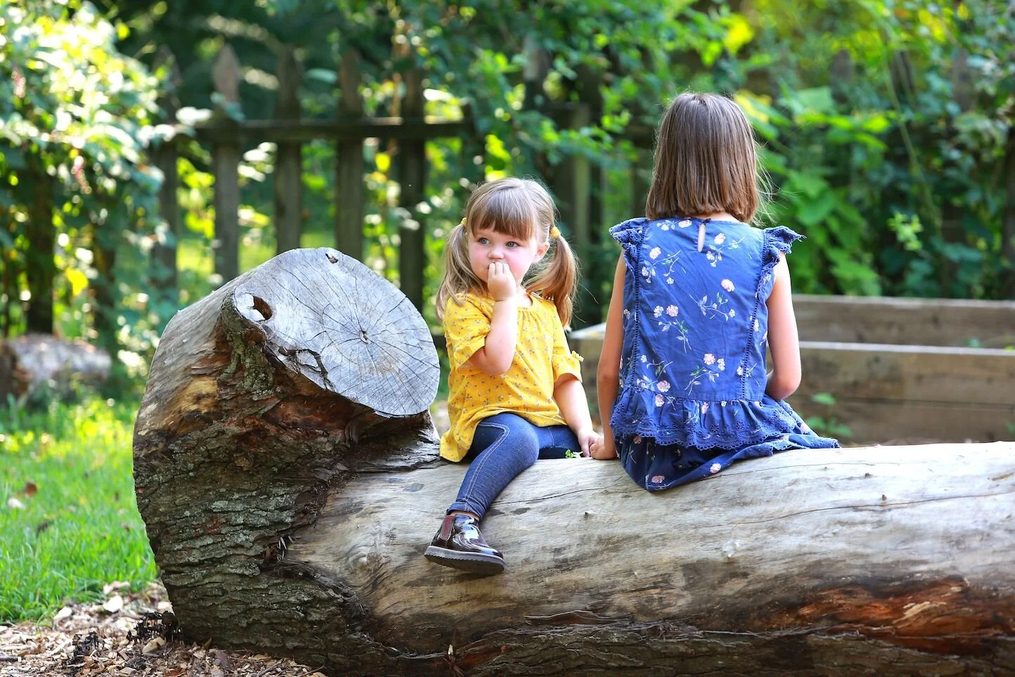 Early Childhood — Waldorf STL