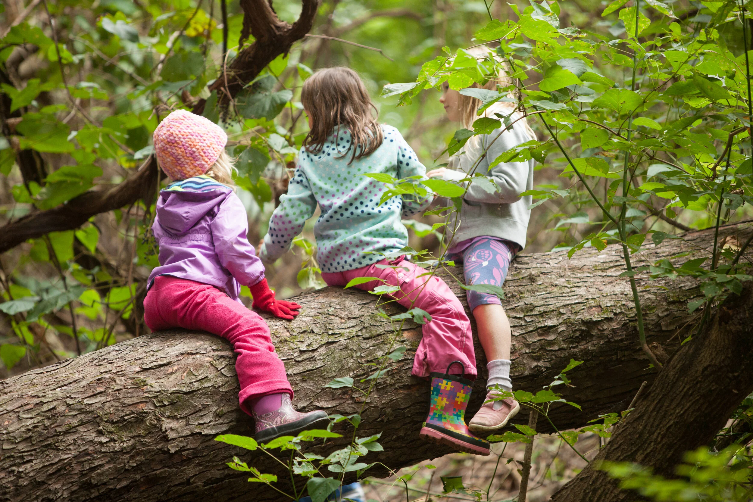 Waldorf STL | Explore Waldorf Education—Join Today!