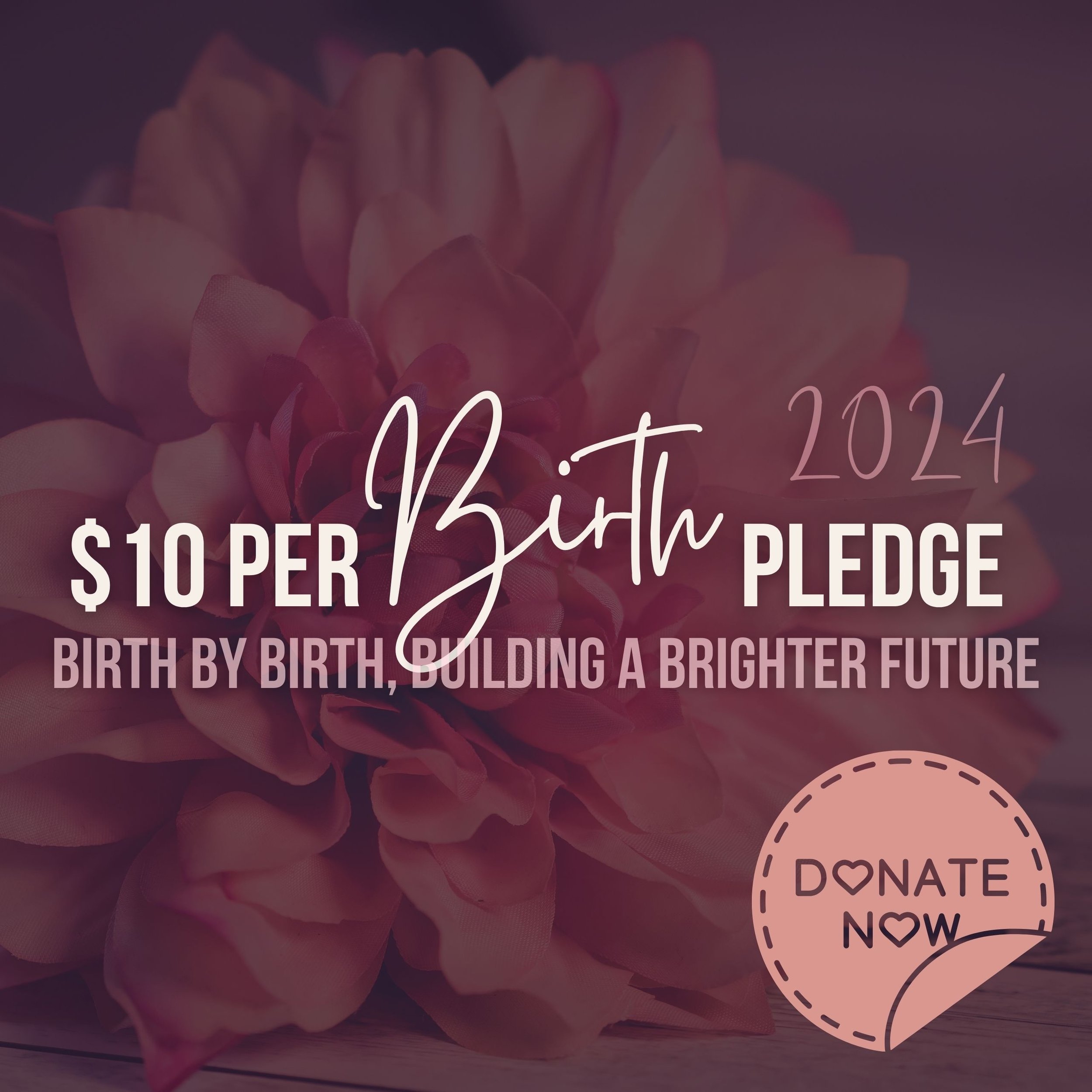$10 Birth Pledge — NACPM