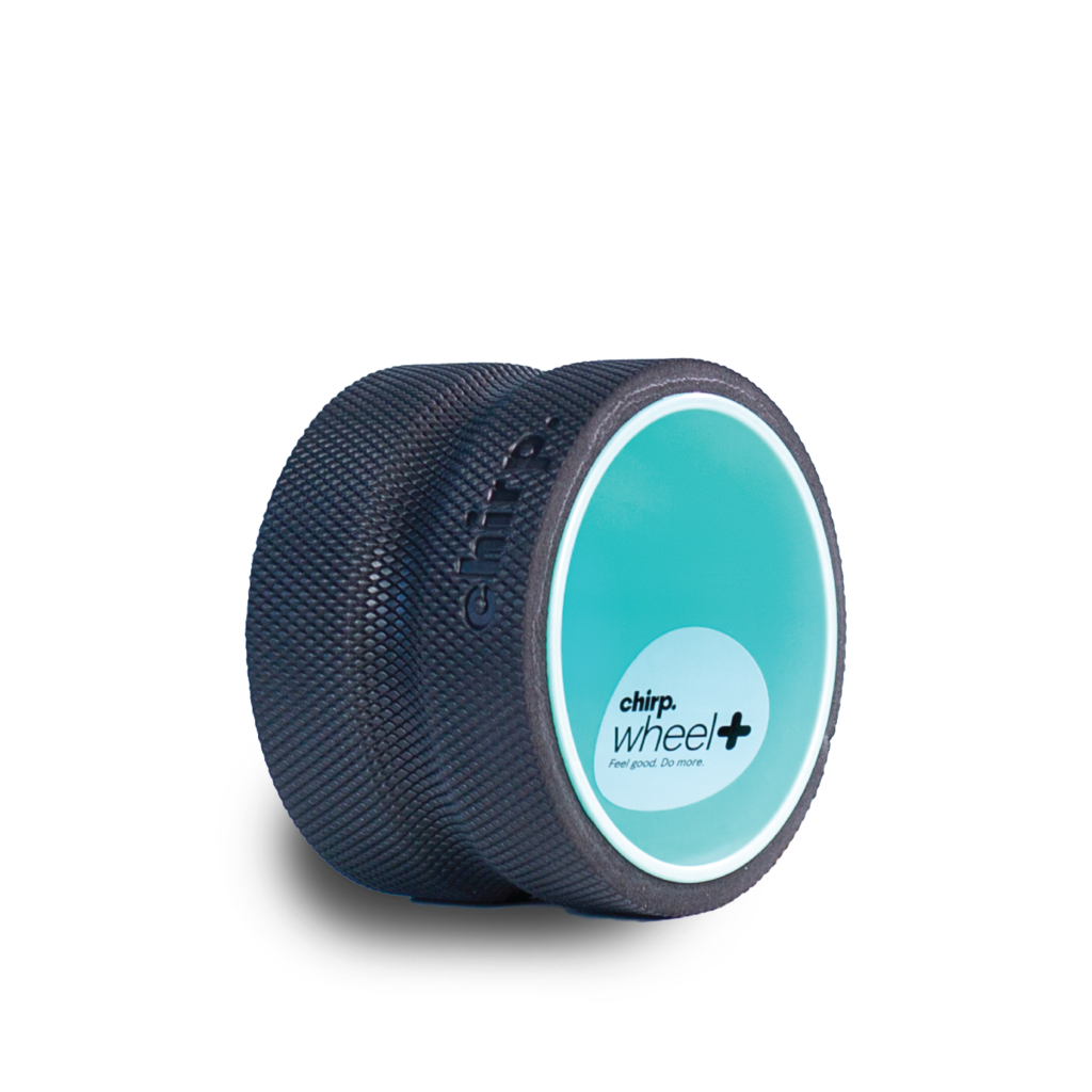 Back Pain Gone- Chirp Wheel Review — duuude | Only the Good Stuff ...