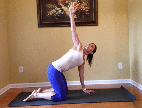 Rhomboids - The Key to Good Posture — Design Your Life