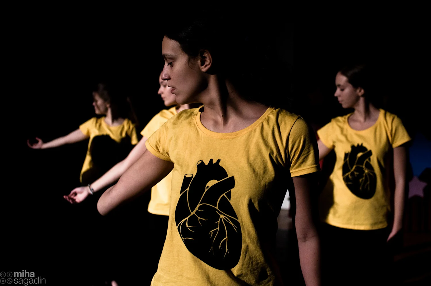 TAM — Center plesa