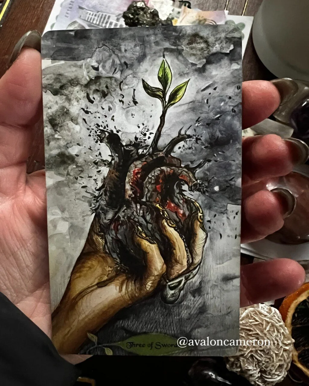 Avalon Cameron the Folk Witch, Tarot Teacher, Book Lover