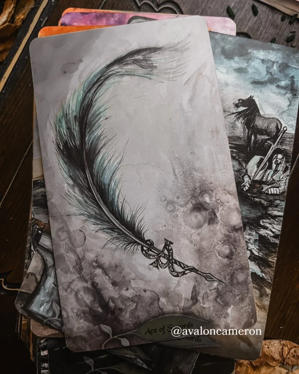 Avalon Cameron the Folk Witch, Tarot Teacher, Book Lover