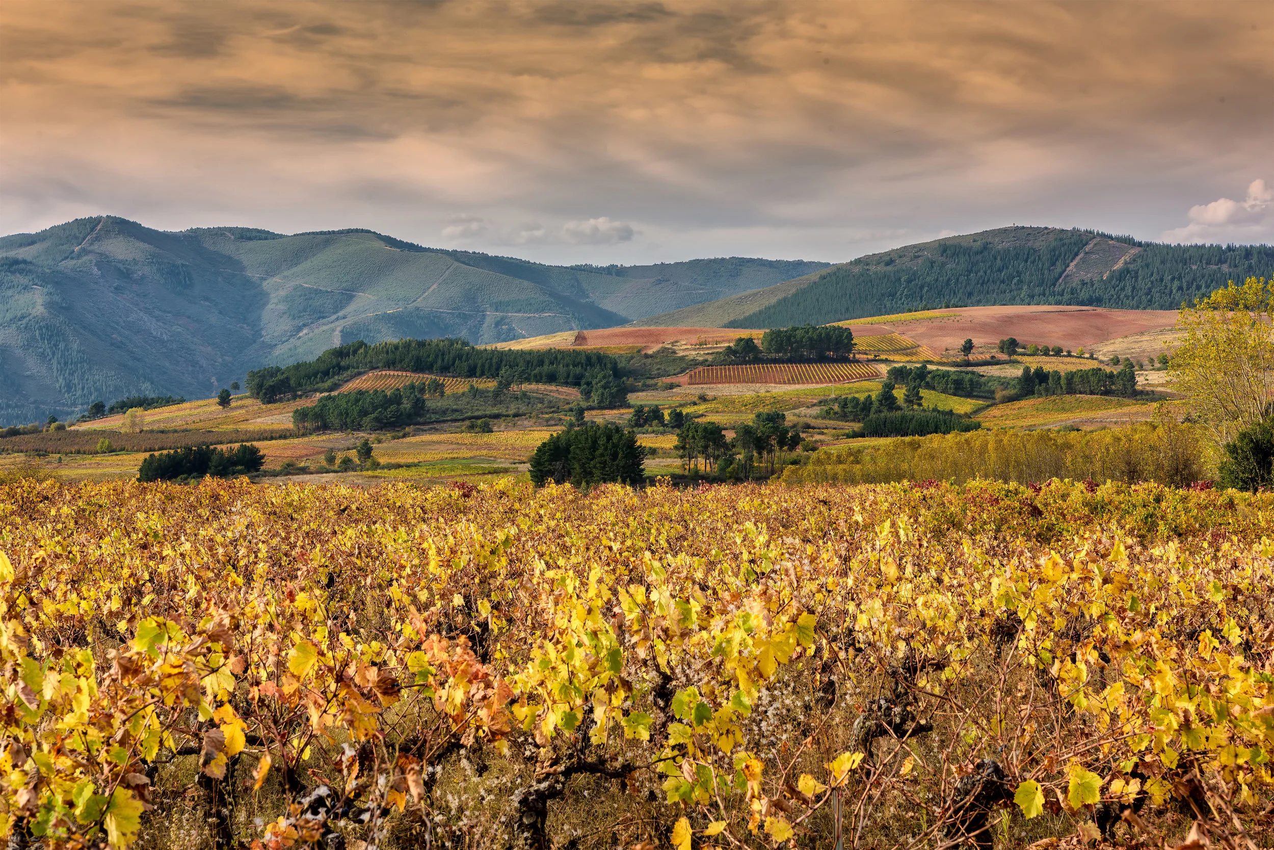 Spain — SAWM Imports