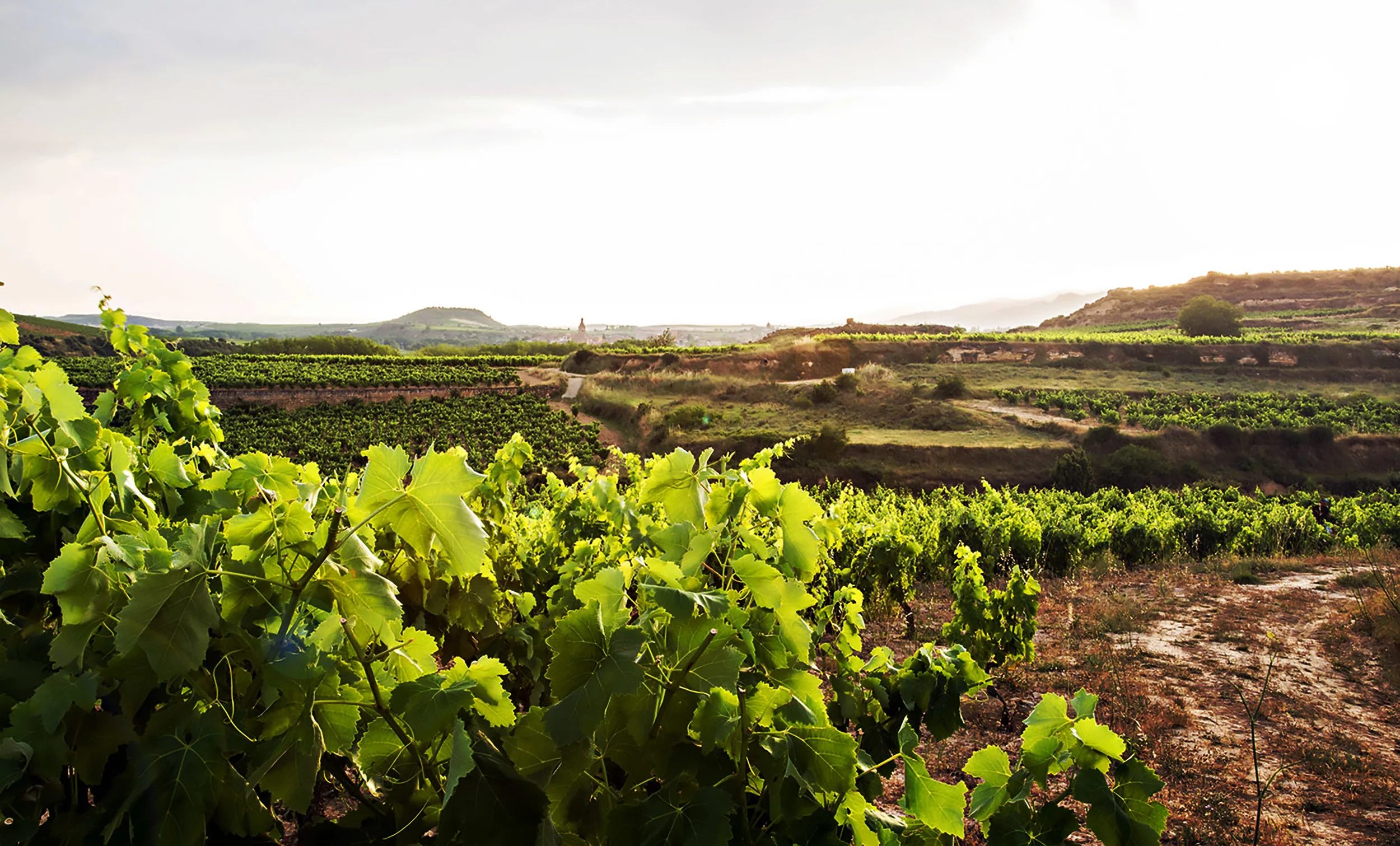 Spain — SAWM Imports