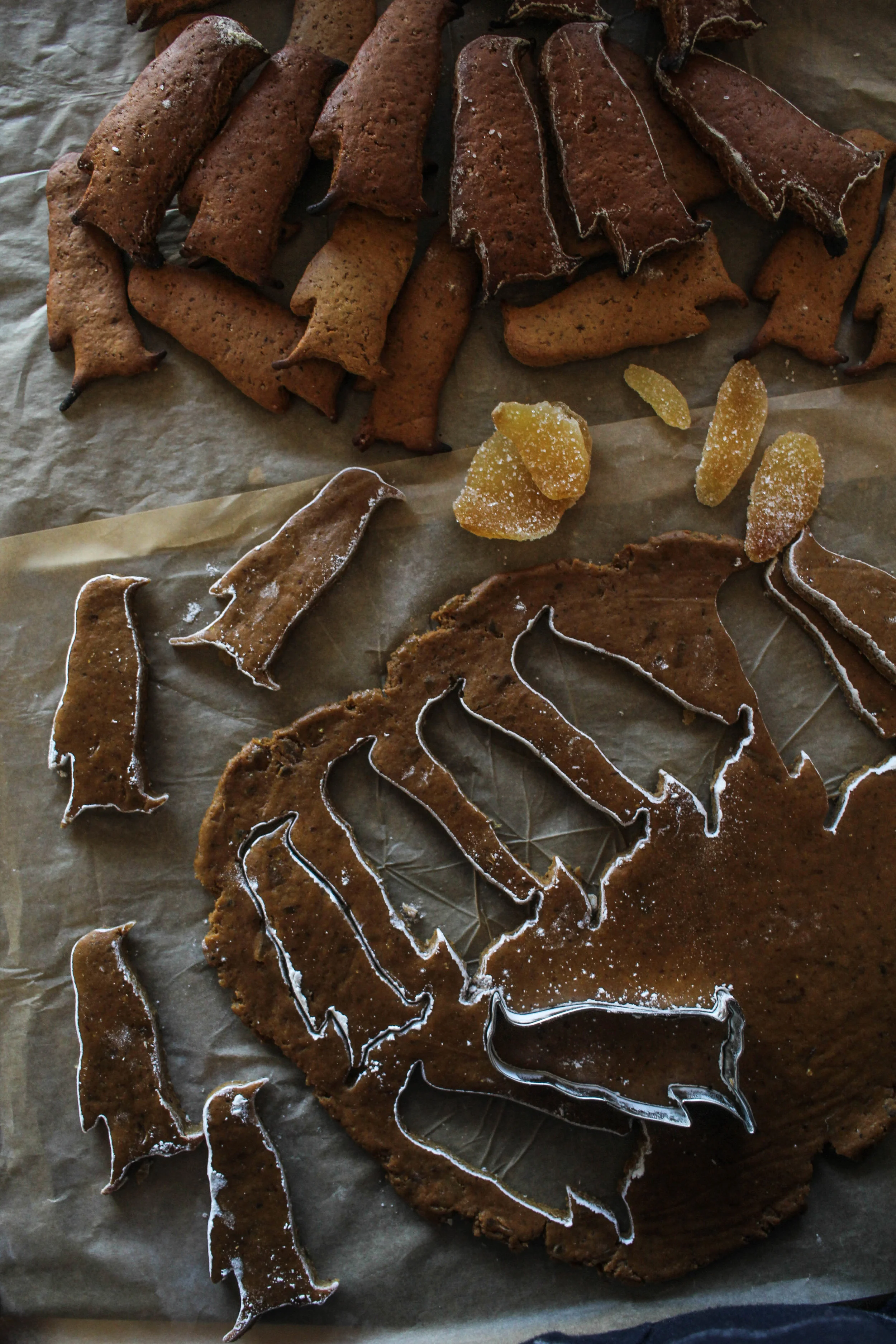 Black Pepper Gingerbread Penguins with Chunks of Candied Ginger ...