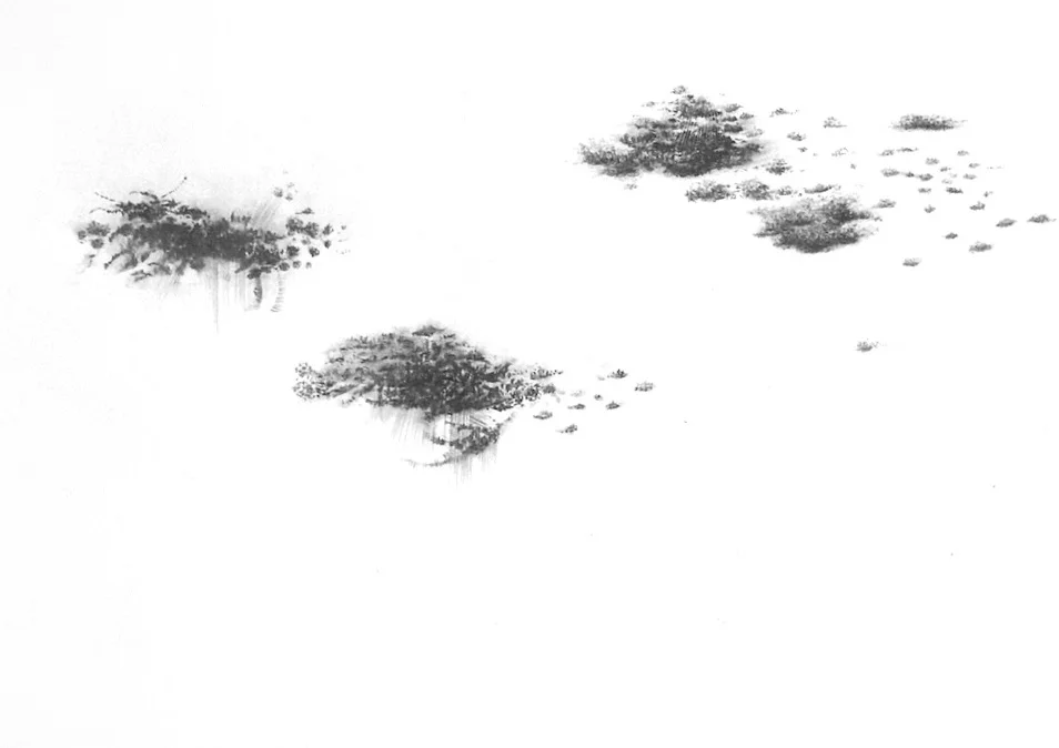 Floating Worlds series — Holly Fay