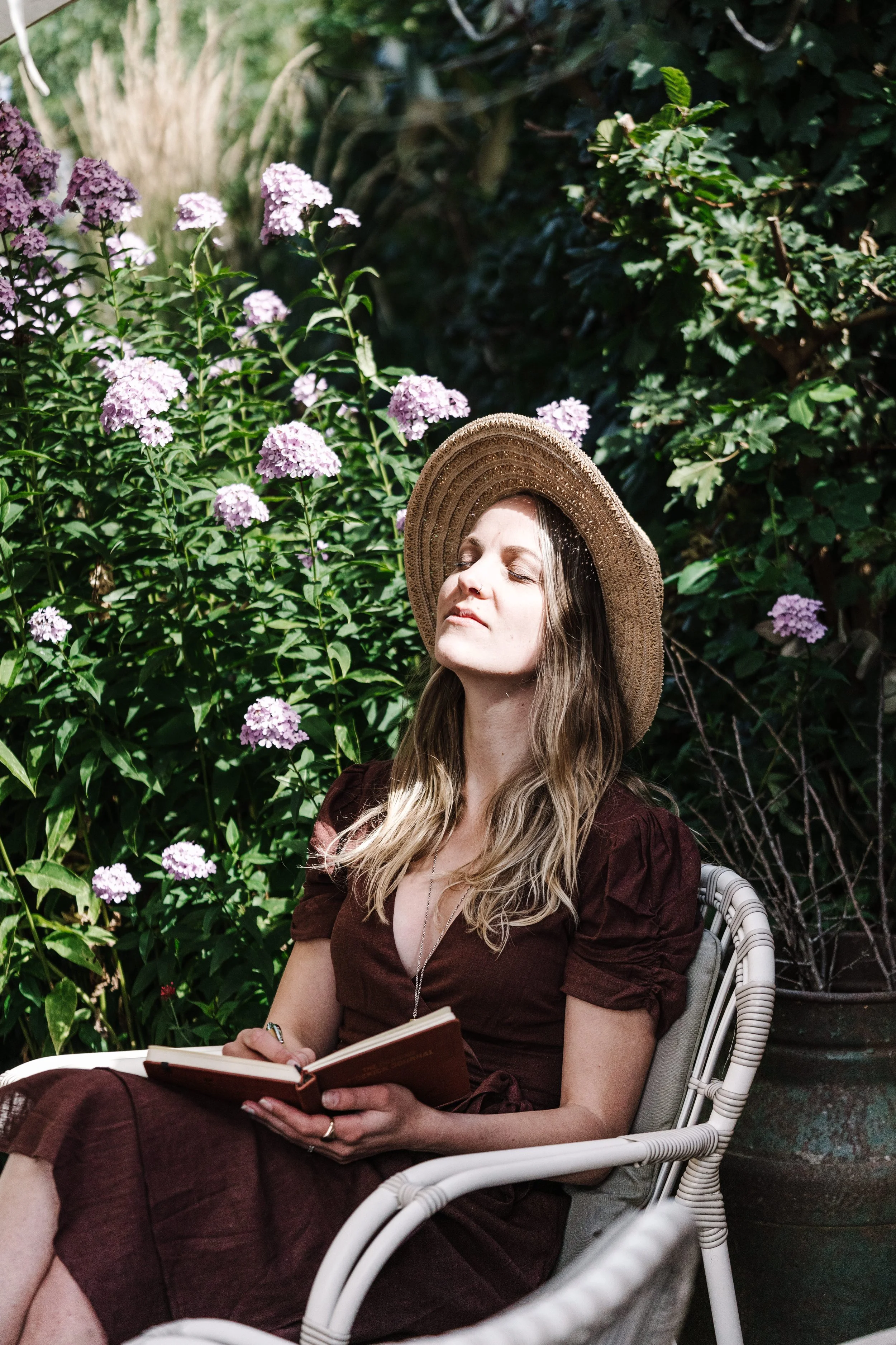 Your Body is Solar-Powered — Acre of Roses