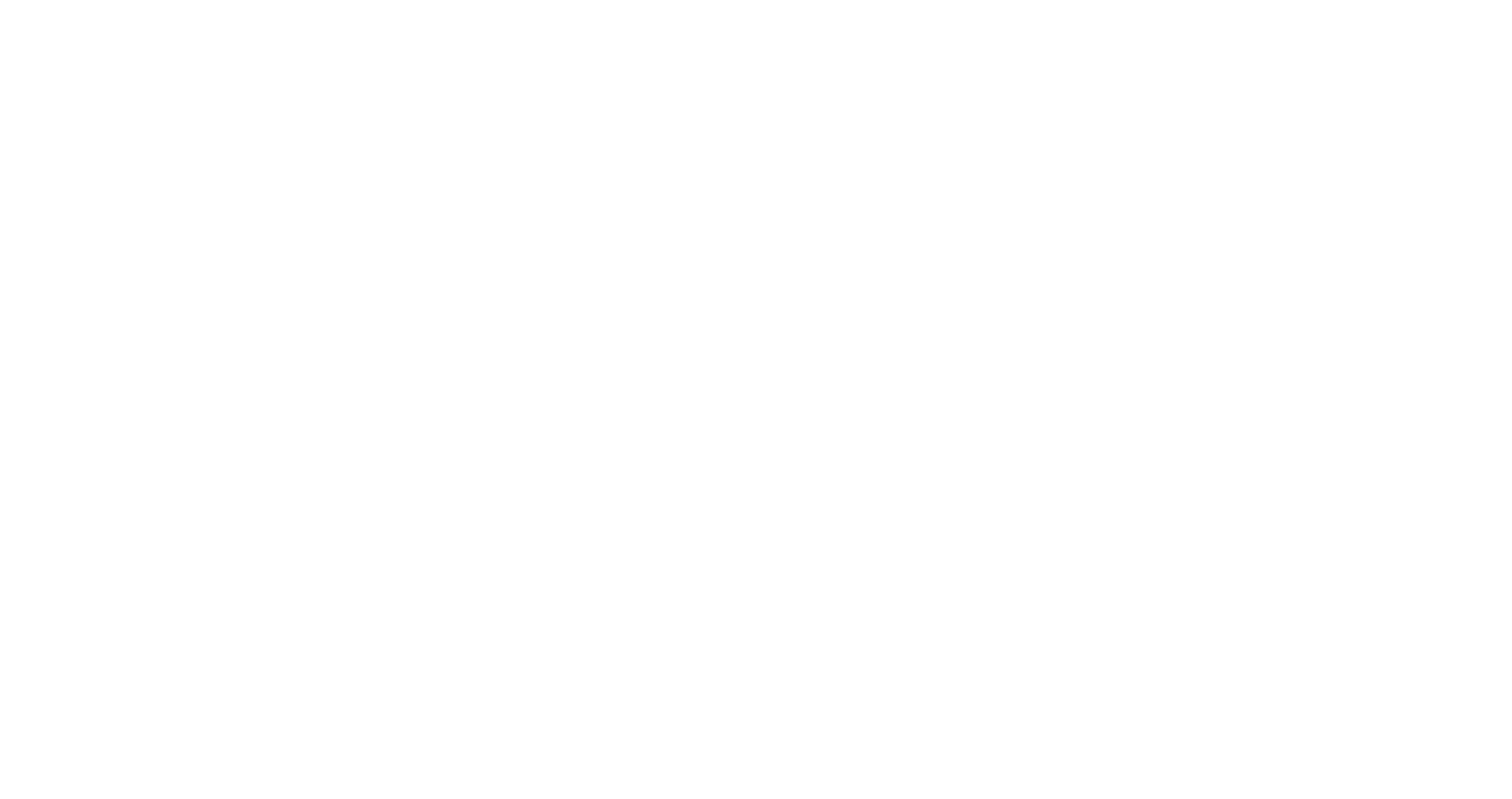 Steth Echo