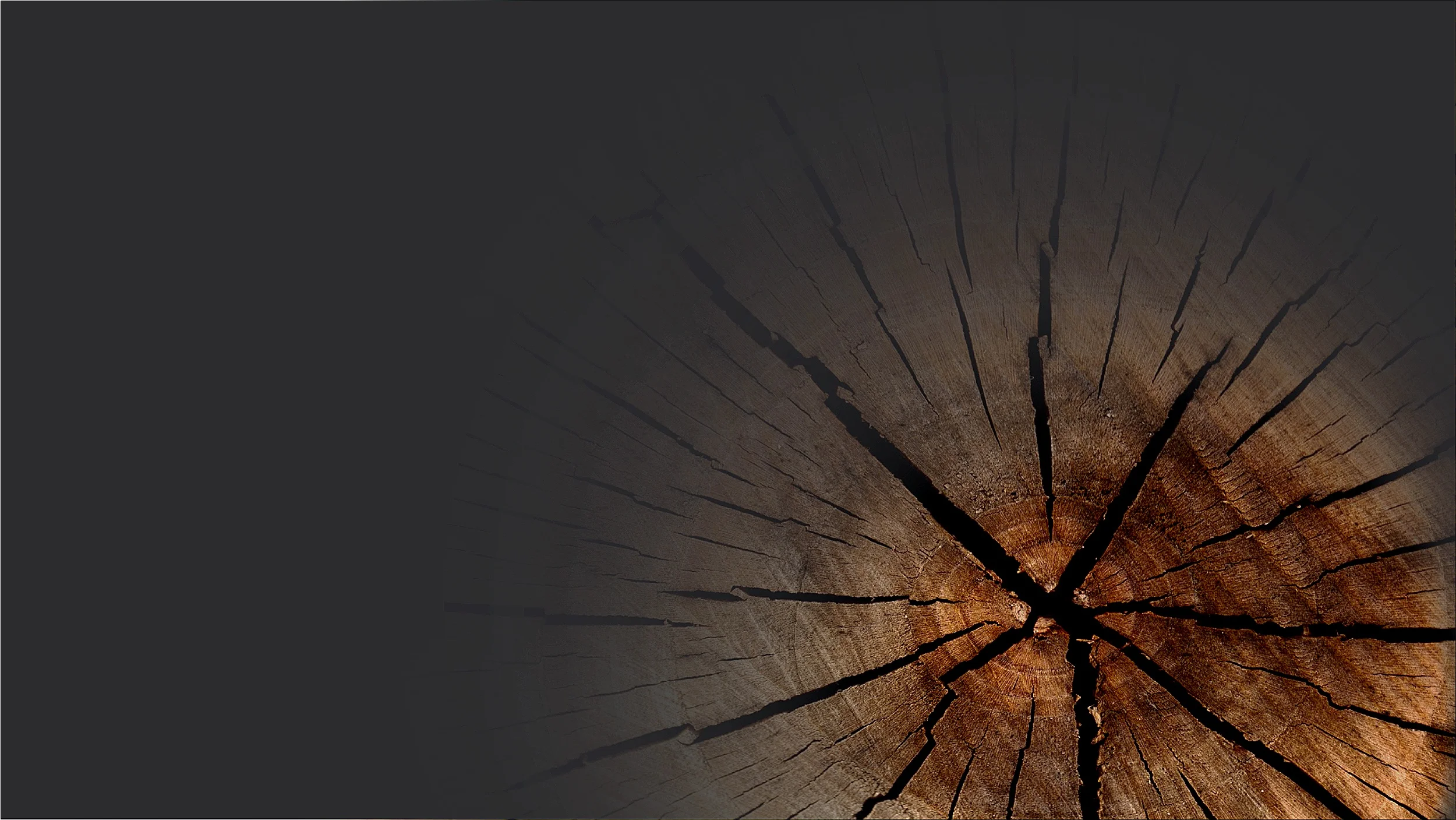 Piney Hollow Wood Craft