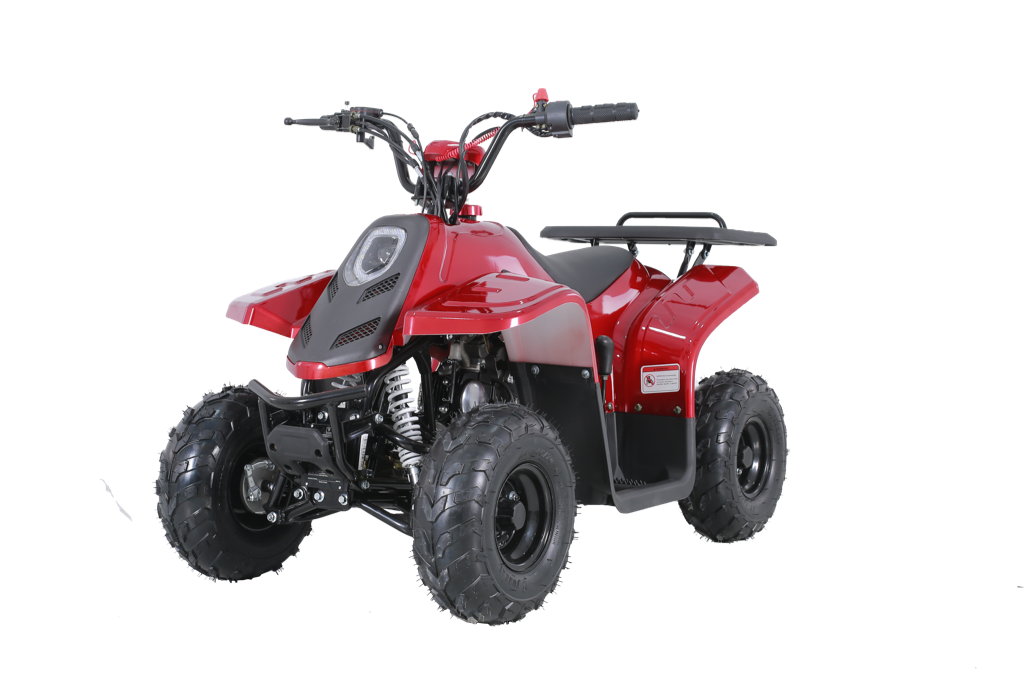 ATVs — BNB MOTORSPORTS