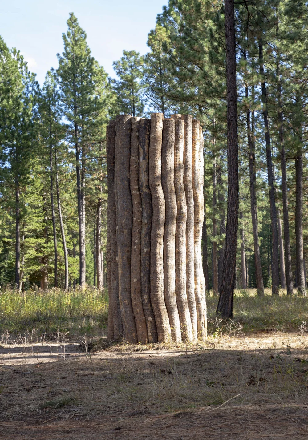 Dancing trees — Stuart Ian Frost